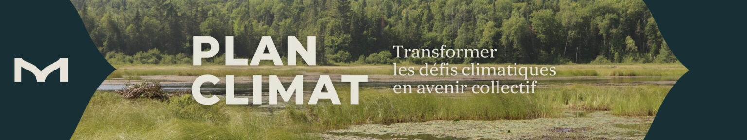 Défis climatiques | MRC de Mékinac